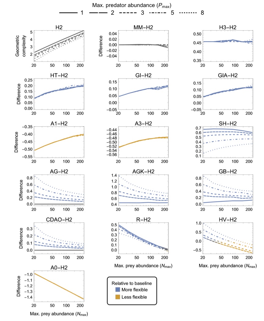 Geometric complexity and the information-theoretic comparison of ...